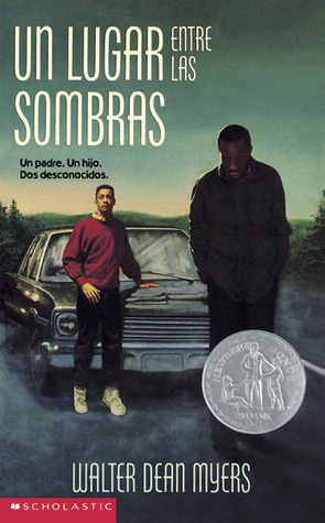 Somewhere In The Darkness: Un Lugar Entre Las Sombras by Walter Dean ...
