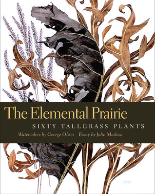 The Elemental Prairie: Sixty Tallgrass Plants by John Madson | Goodreads