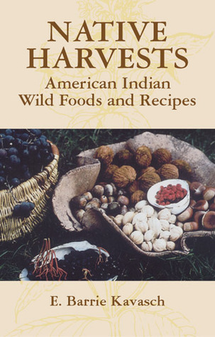 Native American Indian Meat American Indian Foods Native Food