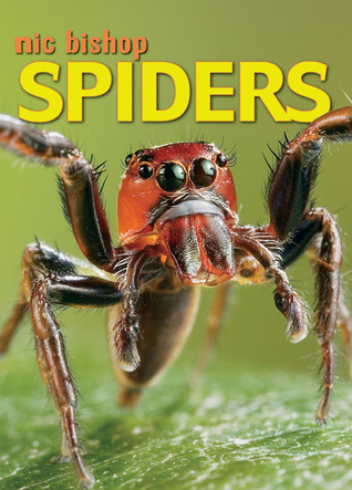 Spiders by Nic Bishop | Goodreads
