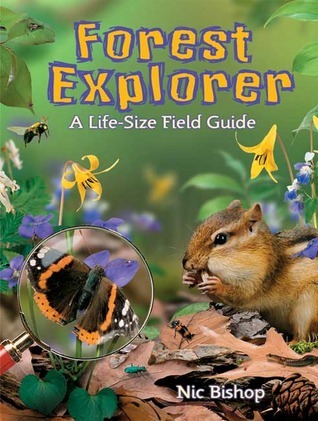 Forest Explorer: A Life-sized Field Guide by Nic Bishop | Goodreads