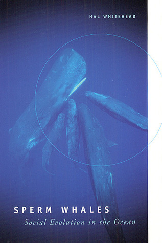 Sperm Whales: Social Evolution in the Ocean by Hal Whitehead | Goodreads