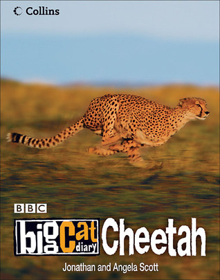 Big Cat Diary: Cheetah by Jonathan Scott | Goodreads