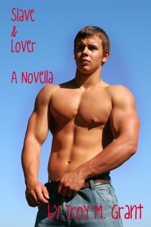 Slave & Lover: A Novella by Troy M. Grant | Goodreads