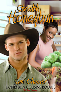 Stealth Honeybun by Sam Cheever | Goodreads