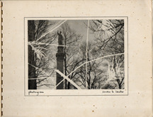 Photogram by Susan B. Laufer | Goodreads