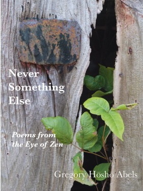 Never Something Else; Poems from the Eye of Zen by Gregory Hosho Abels ...