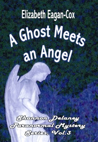 A Ghost Meets an Angel (Shannon Delaney, #3) by Elizabeth Eagan-Cox ...