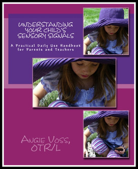 Understanding Your Child's Sensory Signals: A Practical Daily Use ...