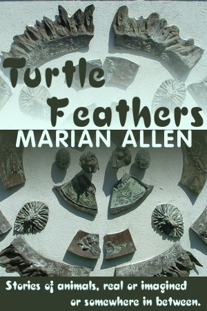 Turtle Feathers by Marian Allen | Goodreads