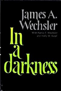 In a Darkness: A Story of a Young Suicide by James Arthur Wechsler ...