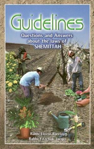 Guidelines: Questions and Answers About the Laws of Shmittah by Elozor ...