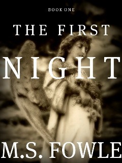 The First Night (The First, #1) by M.S. Fowle | Goodreads