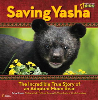 Saving Yasha: The Incredible True Story of an Adopted Moon Bear by Lia ...