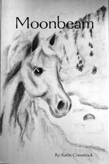 Moonbeam by Katie Comstock | Goodreads
