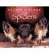 Spiders by Seymour Simon | Goodreads
