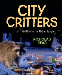 City Critters: Wildlife in the Urban Jungle by Nicholas Read | Goodreads