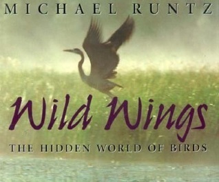 Wild Wings: The Hidden World of Birds by Michael Runtz | Goodreads
