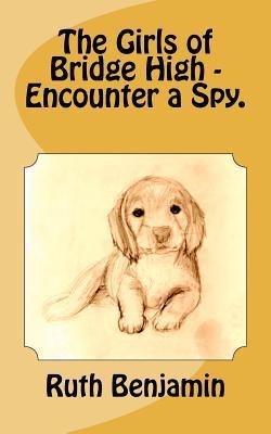 The Girls of Bridge High: Encounter a Spy by Ruth Benjamin | Goodreads
