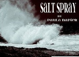 Salt Spray by Paula Napier | Goodreads