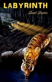 Labyrinth: Short Stories by Mainak Dhar | Goodreads