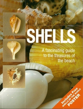 Shells: A Fascinating Guide to the Treasures of the Beach by Quantum ...