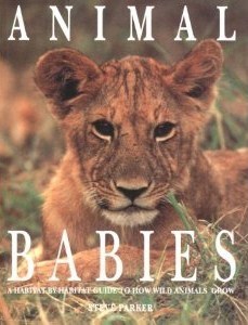 Animal Babies: A Habitat-By-Habitat Guide to How Wild Animals Grow by ...