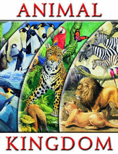 Animal Kingdom by Steve Parker | Goodreads