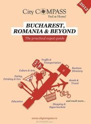 Bucharest, Romania and Beyond: The Practical Expat Guide by Moser ...