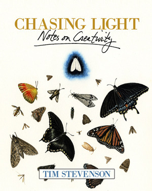 Chasing Light - Notes on Creativity by Tim Stevenson | Goodreads