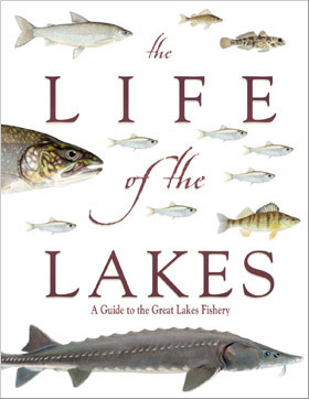 The life of the lakes: A guide to the Great Lakes fishery by Shari L ...