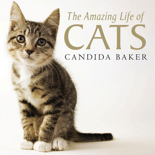The Amazing Life of Cats by Candida Baker | Goodreads