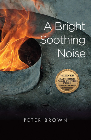 A Bright Soothing Noise by Peter Brown | Goodreads