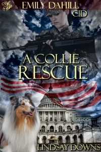 A Collie Rescue (Emily Dahill CID) by Lindsay Downs | Goodreads