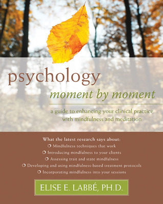 Psychology Moment by Moment: A Guide to Enhancing Your Clinical ...