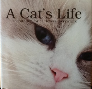 A Cat's Life: inspiration for cat lovers everywhere by Pink Creative ...