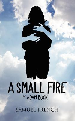 A Small Fire by Adam Bock | Goodreads