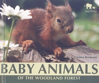 Baby Animals of the Woodland Forest by Carmen Bredeson | Goodreads