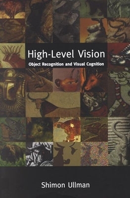 High-Level Vision: Object Recognition and Visual Cognition by Shimon ...