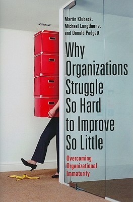 Why Organizations Struggle So Hard to Improve So Little: Overcoming ...