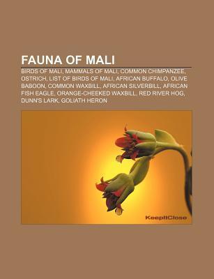 Fauna of Mali: Birds of Mali, Mammals of Mali, Common Chimpanzee ...