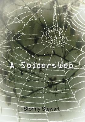 A Spiders Web by Stormy Stewart | Goodreads