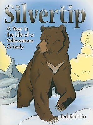 Silvertip: A Year in the Life of a Yellowstone Grizzly by Ted Rechlin ...