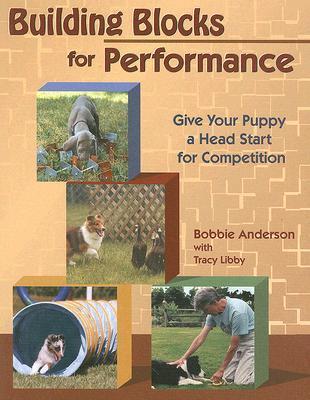 Building Blocks for Performance by Bobbie Anderson | Goodreads