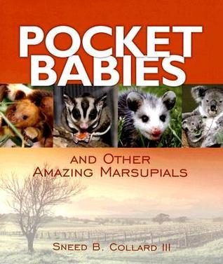 Pocket Babies (and Other Amazing Marsupials) by Sneed B. Collard ...