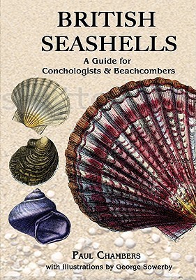 British Seashells: A Guide for Collectors and Beachcombers by Paul ...