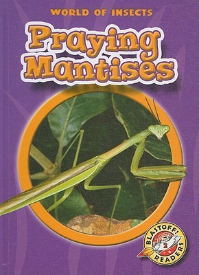 Praying Mantises by Colleen Sexton | Goodreads