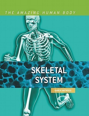 Skeletal System (The Amazing Human Body, 1) by Karen Haywood | Goodreads