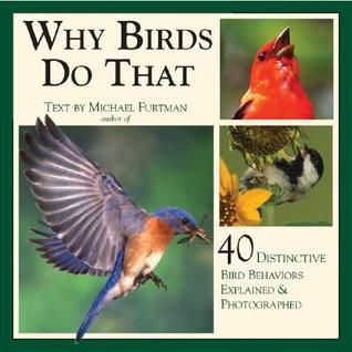 Why Birds Do That: 40 Distinctive Bird Behaviors Explained ...