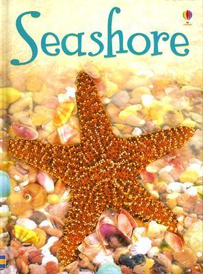 Seashore: Level 1 (Usborne Beginners) by Lucy Bowman | Goodreads